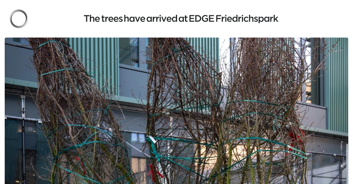 Edge | The trees have arrived at EDGE Friedrichspark